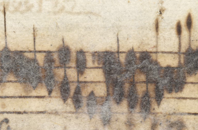 Recovering Lost Texts: Rebuilding Lost Manuscripts - Archive Journal